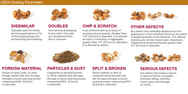 Beware, 3 Steps Can Help You Check Adulteration In Almonds, Follow Steps For Food Safety ...